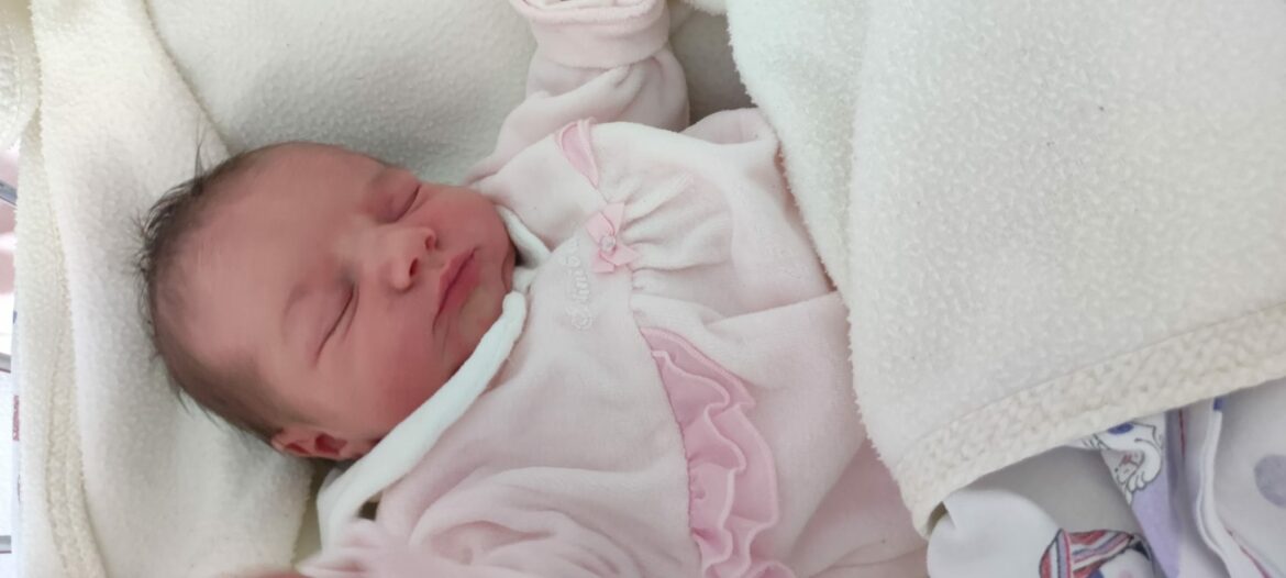 IL 2023 SI COLORA DI ROSA: AMBRA, MARGHERITA E GIULIA SONO LE PRIME ...