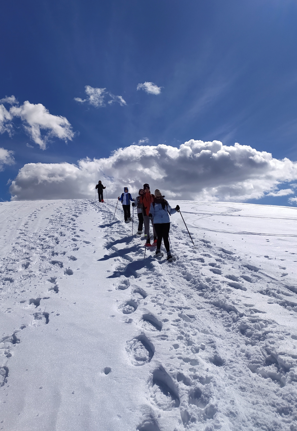 Nove escursioni con le Guide Parco per scoprire tutta la loro bellezza ...